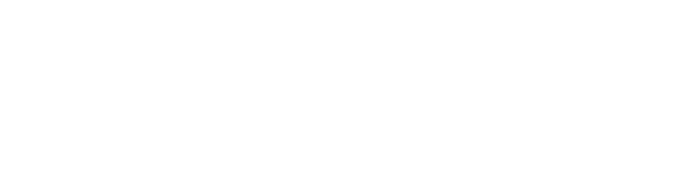 HOME » The Transonic Group™